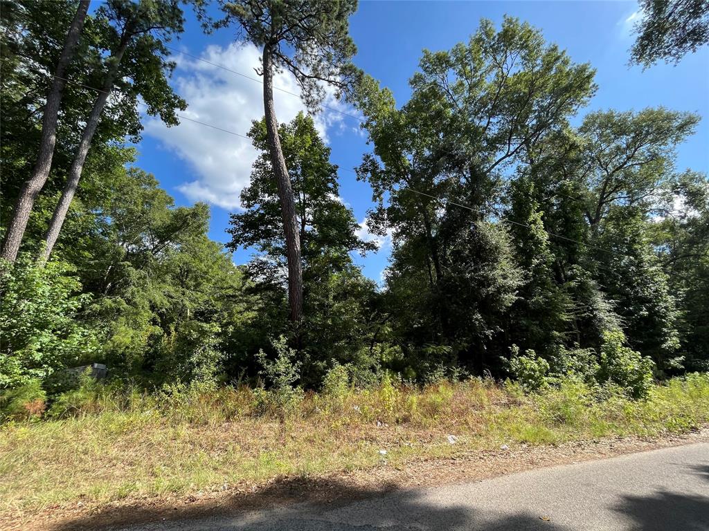 TBD Lake Drive, Splendora TX 77372 - HAR.com