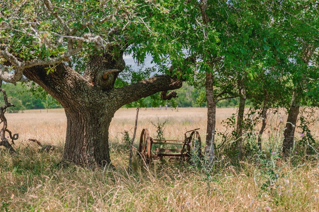 14674 Hwy 36 S, Lyons, TX 77863 - HAR.com