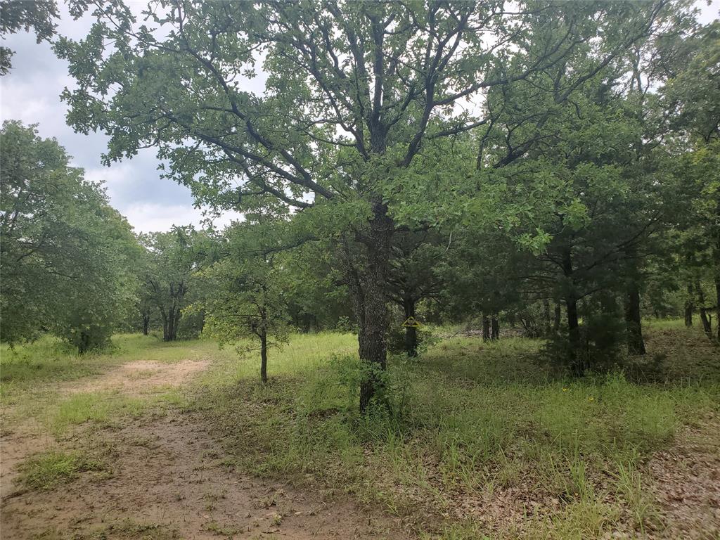 TBD Hwy 101, Sunset, TX 76270 - HAR.com